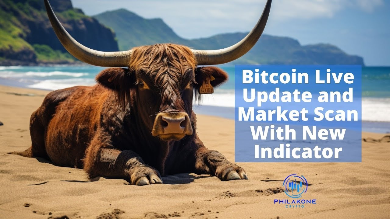 Bitcoin Live Update and Market Scan With New Indicator - YouTube