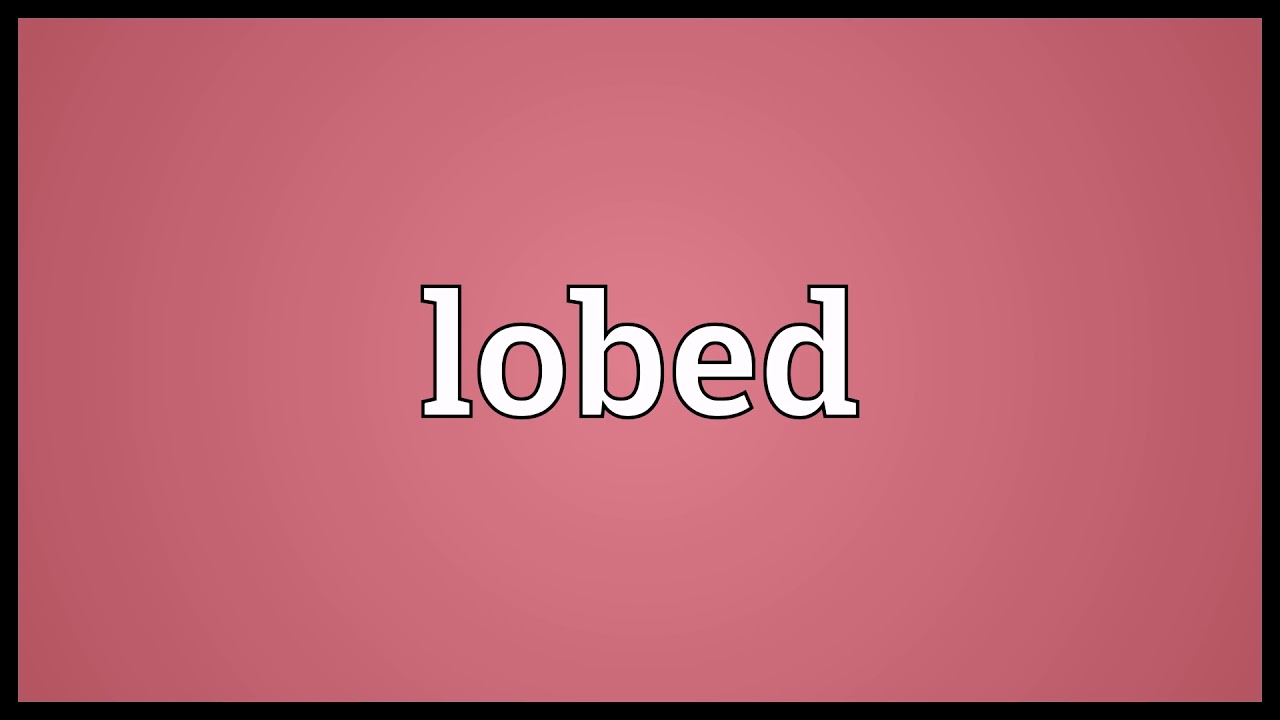 Lobed Meaning | Wordogram - YouTube