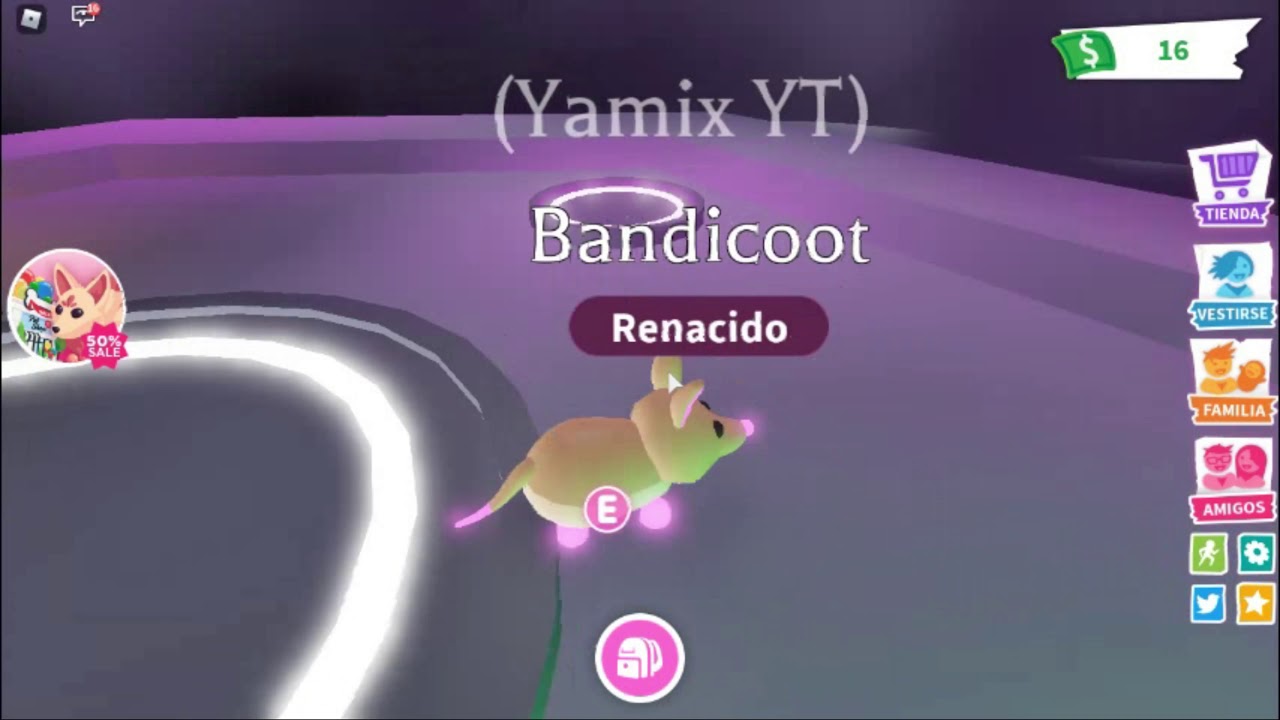 Bandicoot Neon - YouTube