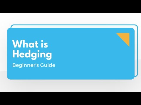 How Hedging works ? - YouTube
