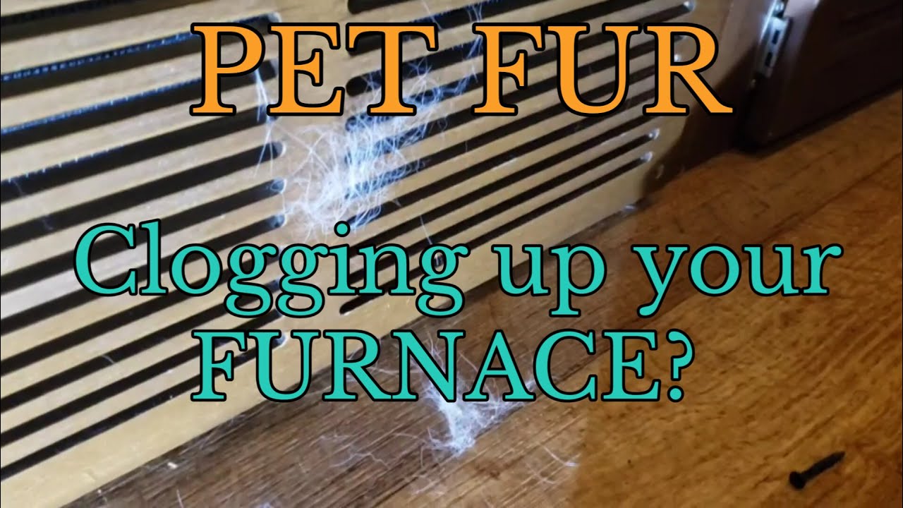 RV Furnace! Pet Fur Clogging Up Your furnace? Try this pet friendly ...