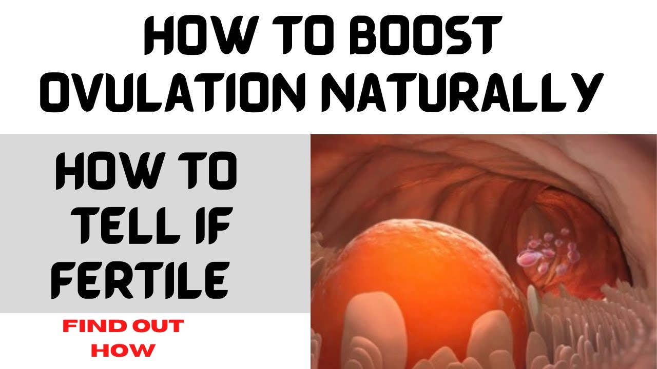 HOW TO KNOW IF YOU ARE FERTILE TO GET PREGNANT🤰|| BOOST OVULATION ...