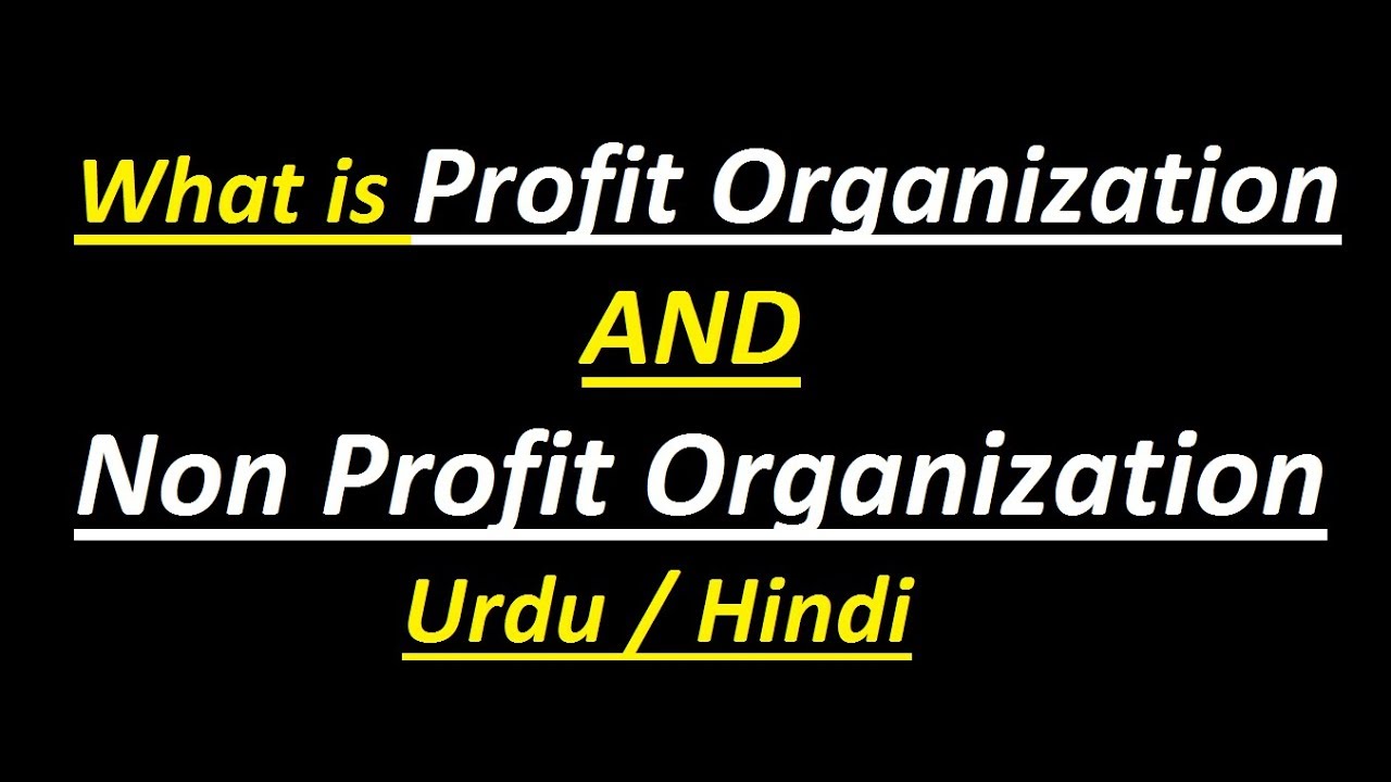 Profit Organization Business VS Non Profit Organization Business Profit Organization Business VS Non Profit Organization Business
