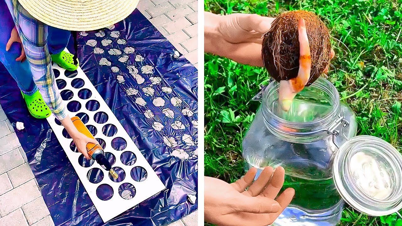 Sprout Success: Learn Gardening Hacks to Make Your Garden Look Amazing ...