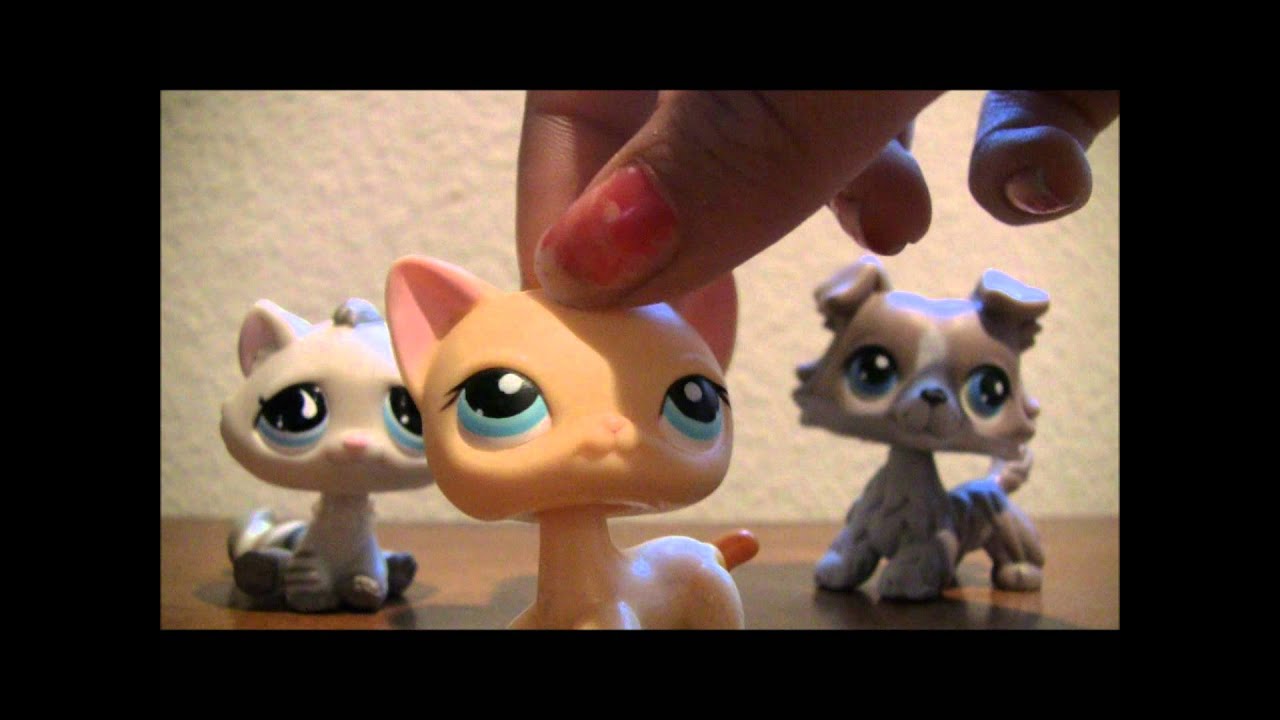 LPS Music Video~ If I Die Young - YouTube