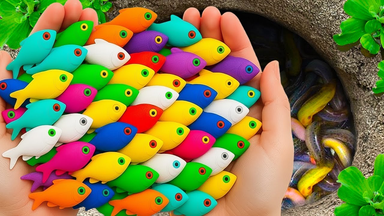 Catching Aquarium Fish in Giant Surprise Colorful Eggs, Catfish, Turtle ...