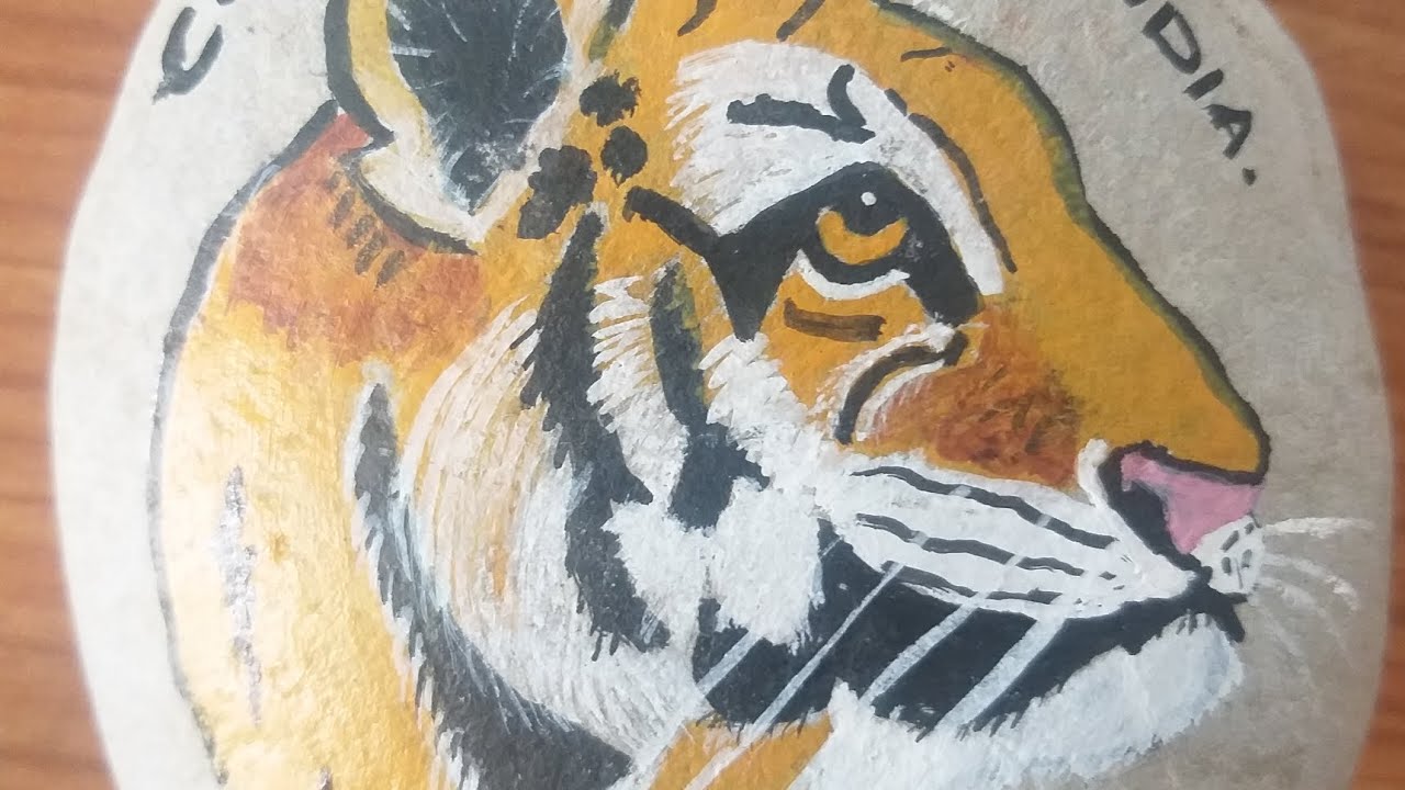 Tiger ki talash mae jungle ke ander#tiger#entertenment #youtubeshort# ...