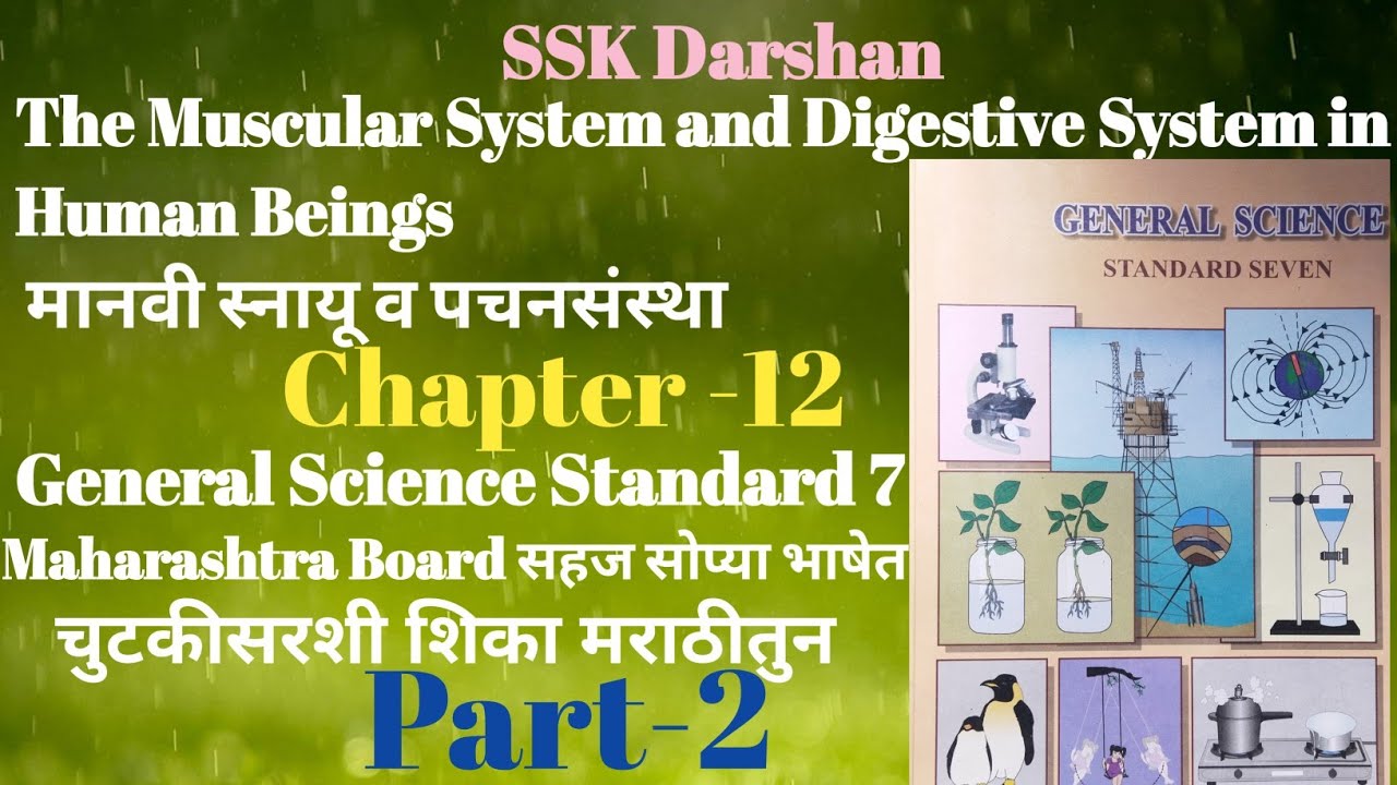 7th std science l the muscular system and digestive system in human beings l chapter 12 l part 2 ...