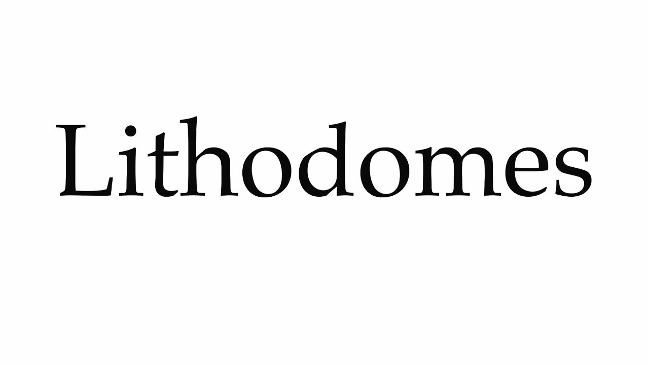 How to Pronounce Lithodomes - YouTube