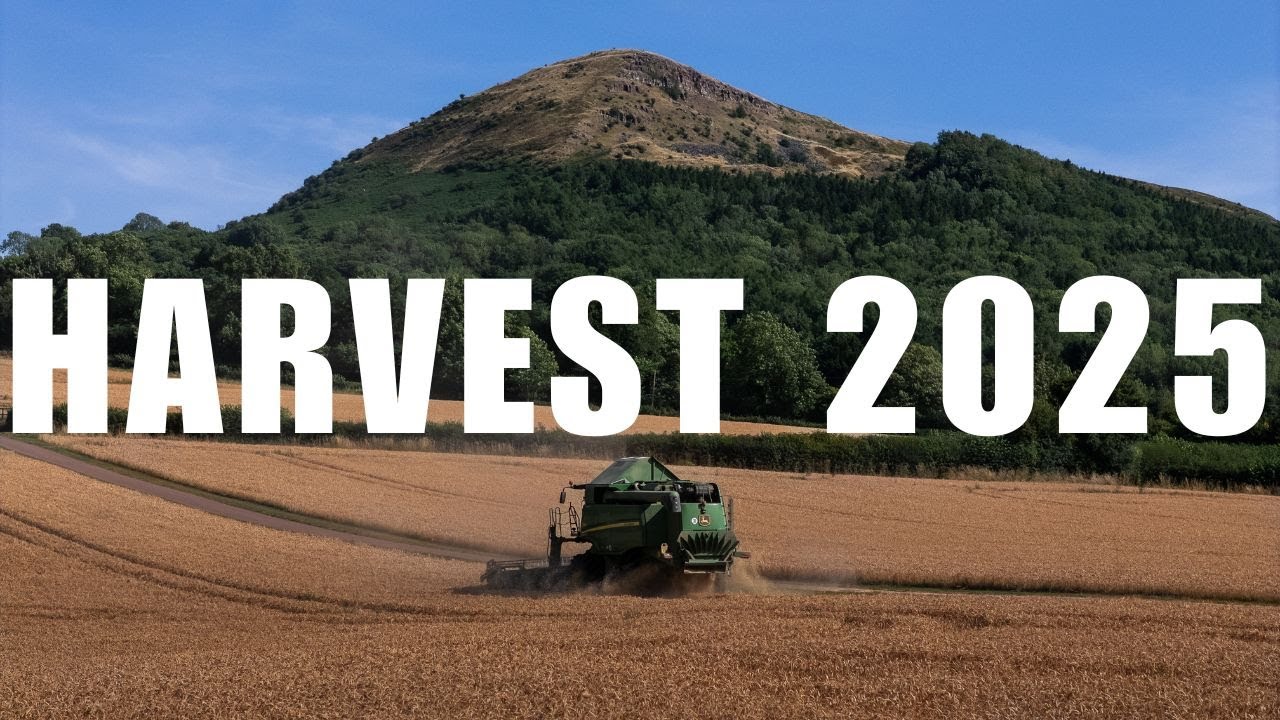 Harvest 2025 - YouTube