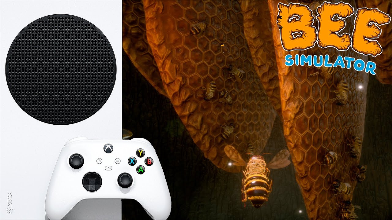 Bee Simulator Xbox Series S Геймплей 60 FPS - YouTube