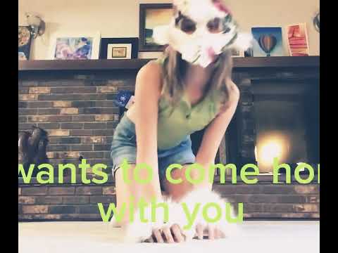 wild kitty #therianthropy