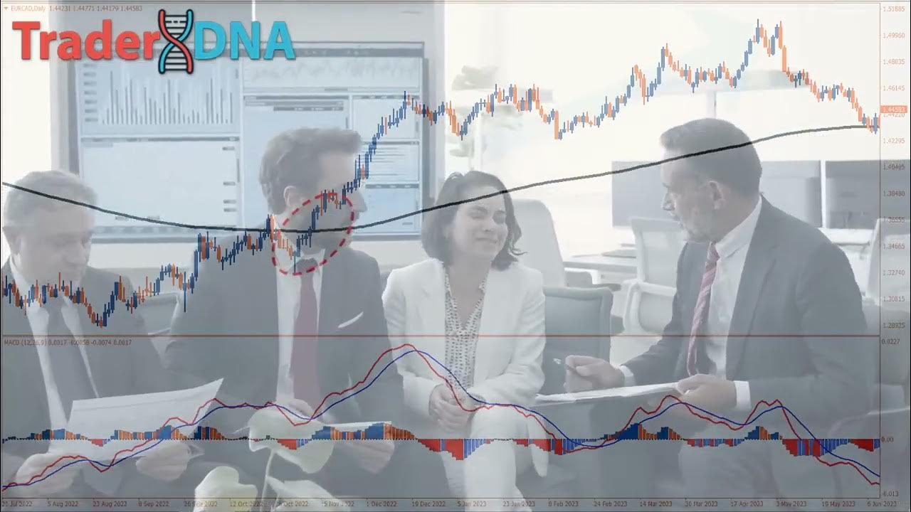 🔴 Best MACD ＂Settings & Combination＂ for SCALPING, INTRADAY, and SWING ...