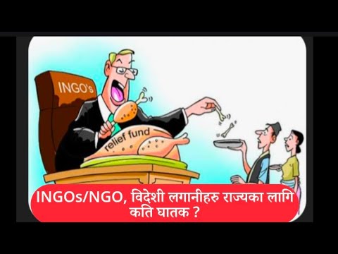 NGOs and INGOs Are Having An Impact On Developing Countries. NGo/INGOs ...