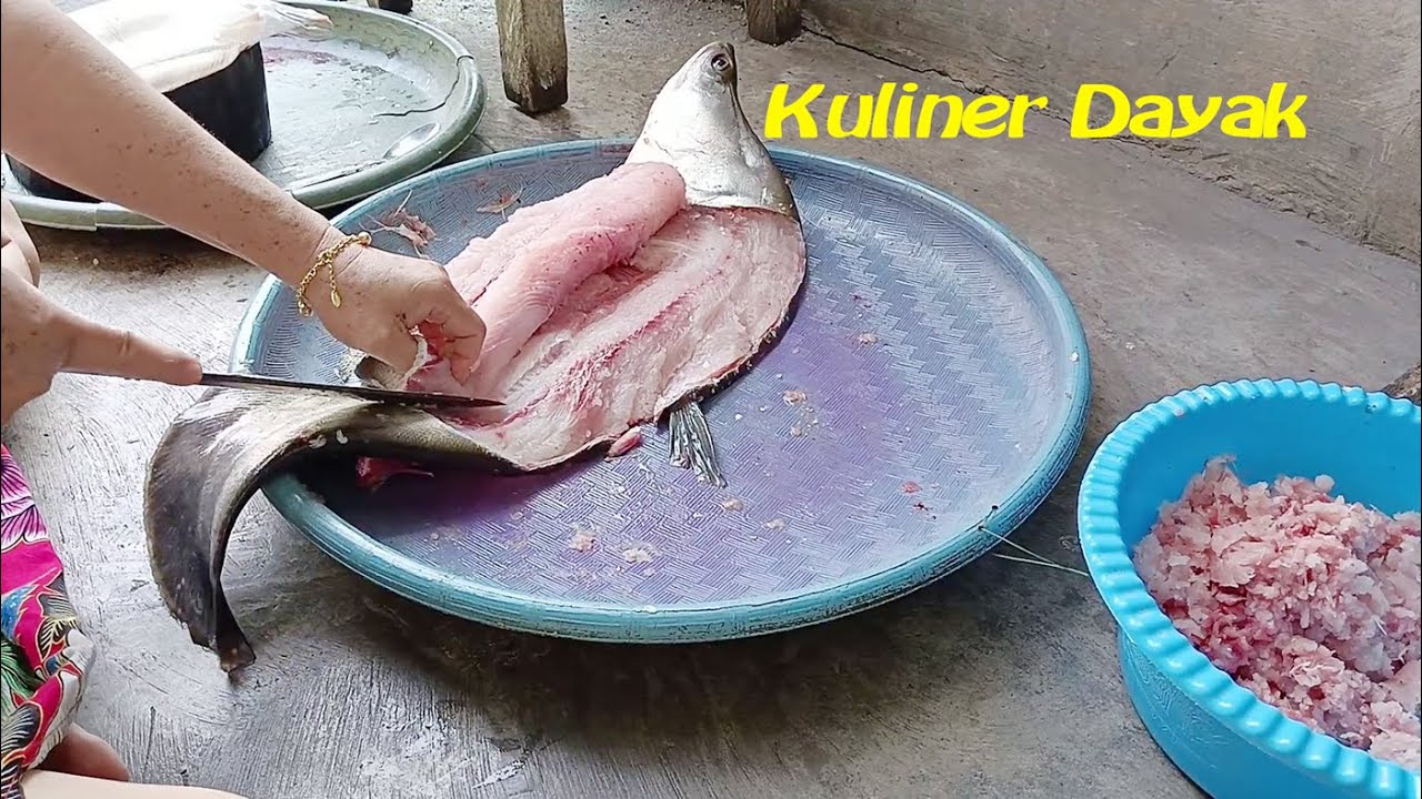 Membuat pentol daging ikan pipih dengan cara manual saja - YouTube