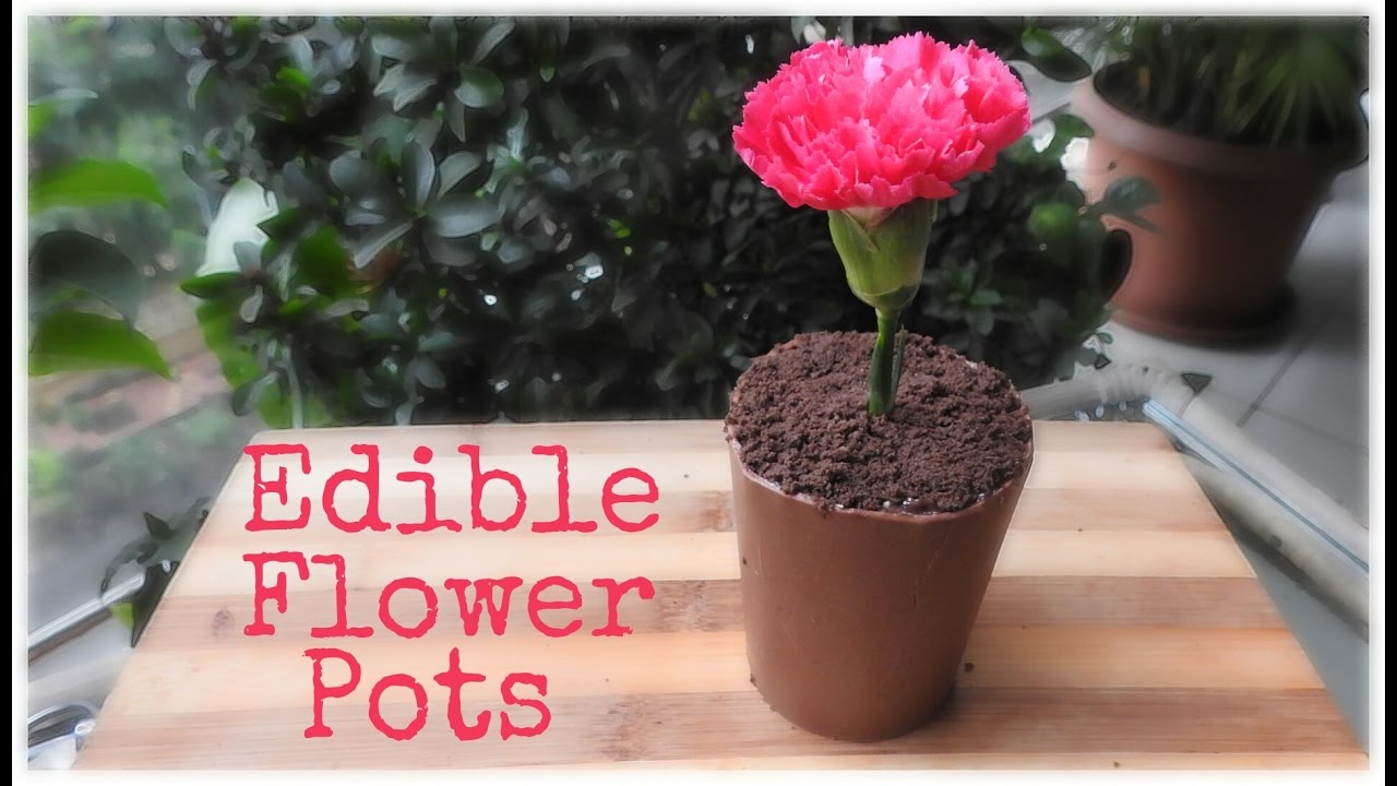 Edible Flower Pots | Oreos and Mousse | No Bake Desserts | Bakelicious ...