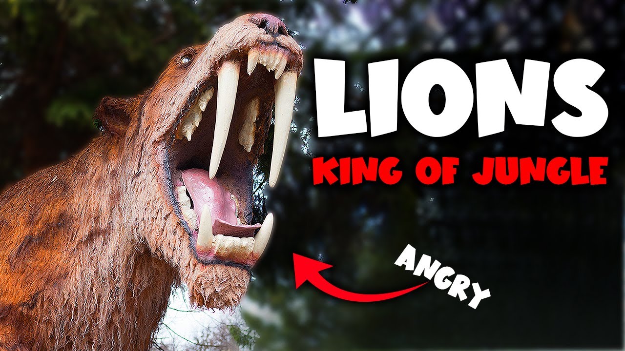 What if Lions Become Angry? | King of Jungle | National Geographic ...