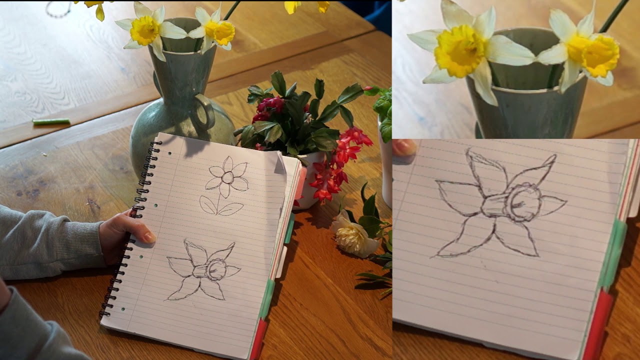 Observational flower drawing - YouTube