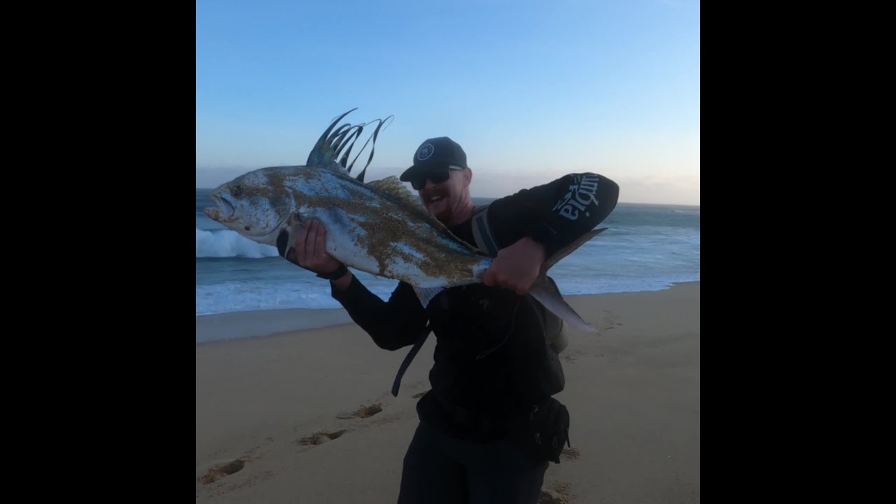 Surf Fishing Cabo San Lucas - YouTube