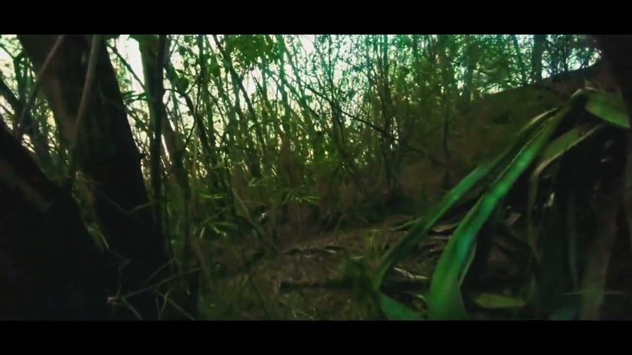 Best Travel Vlog On Honda CG125 Pabbi Forest Park & Kharian Cantt Views ...