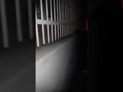 BATUHAN ESMER KENDİ SESİ (BAYKUŞ SAATLERİM)♡               KANKAM