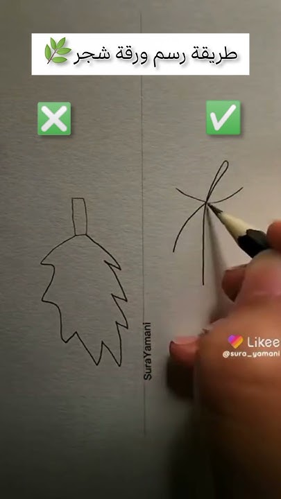 طريقة رسم ورقة شجر 🌿 - YouTube