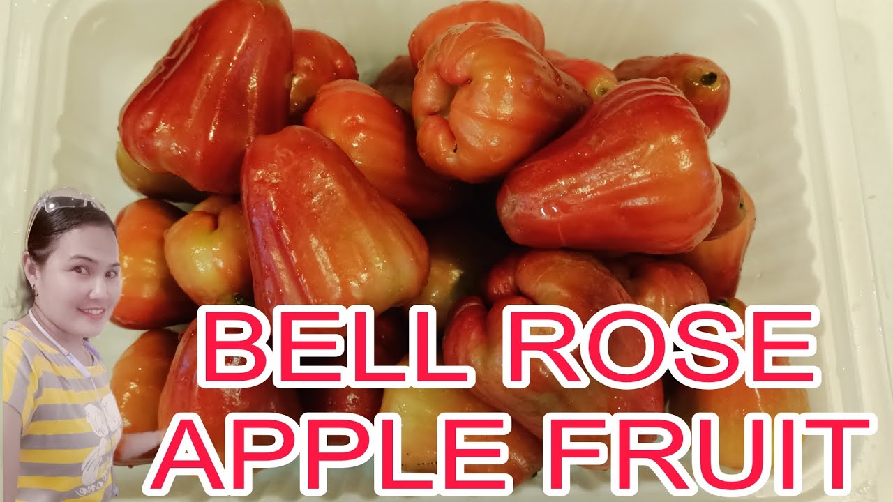 BELL ROSE APPLE FRUIT/ MACOPA IN THE PHILIPPINES #fruit #rose #bell # ...