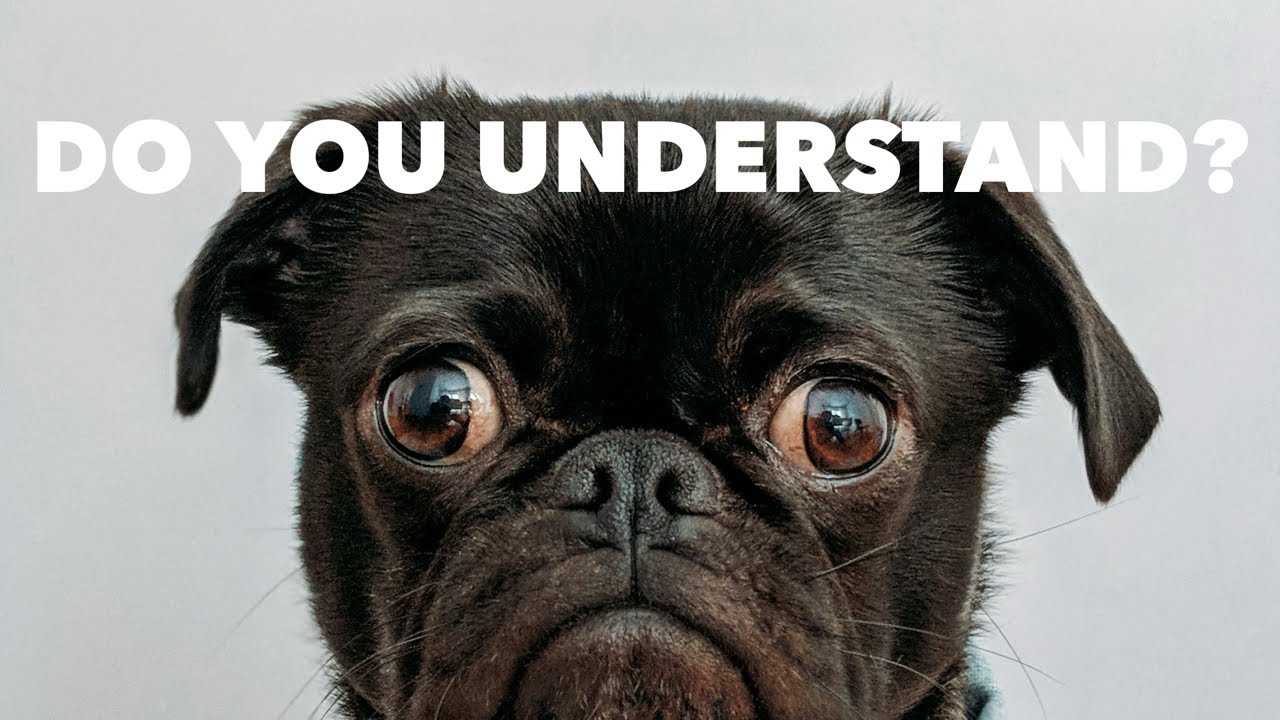 March 24, 2024 Sermon: Do You Understand? - YouTube