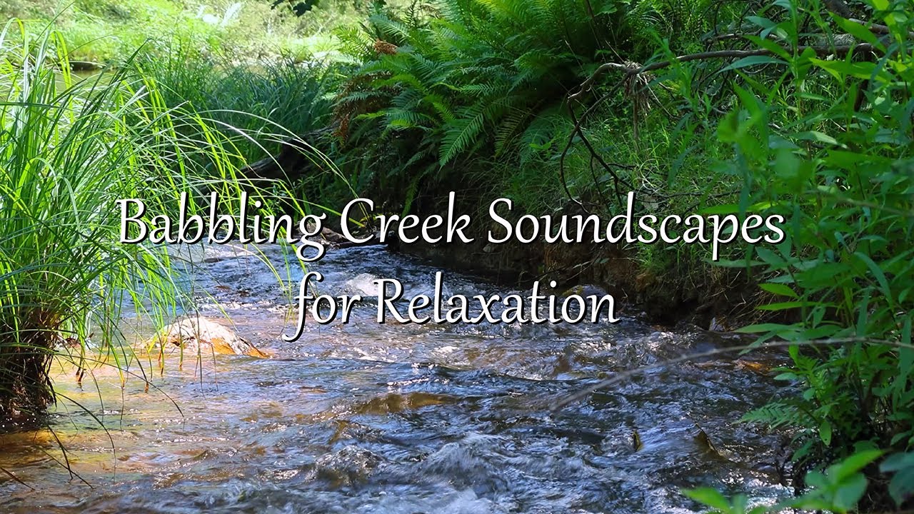 4K Relaxing Creek and Nature Sounds for Relaxation and Meditation - YouTube