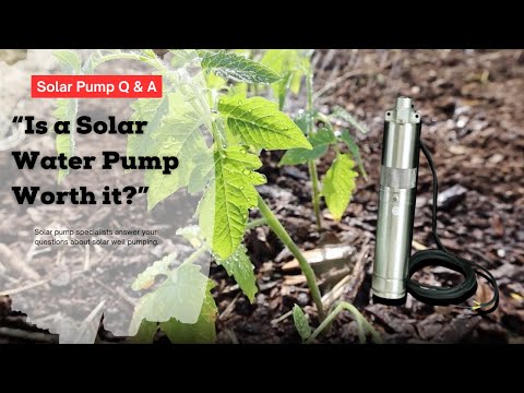 Is a Solar Water Pump Worth it?