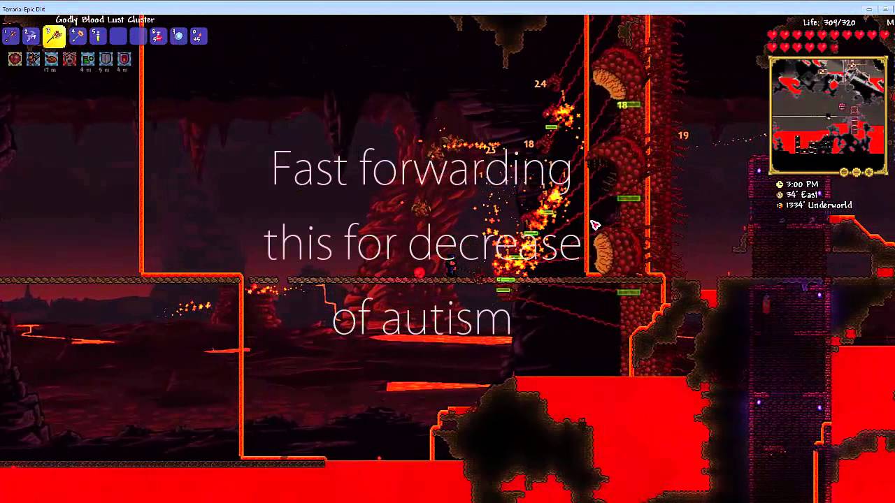 Terraria WoF summoner defeat - YouTube