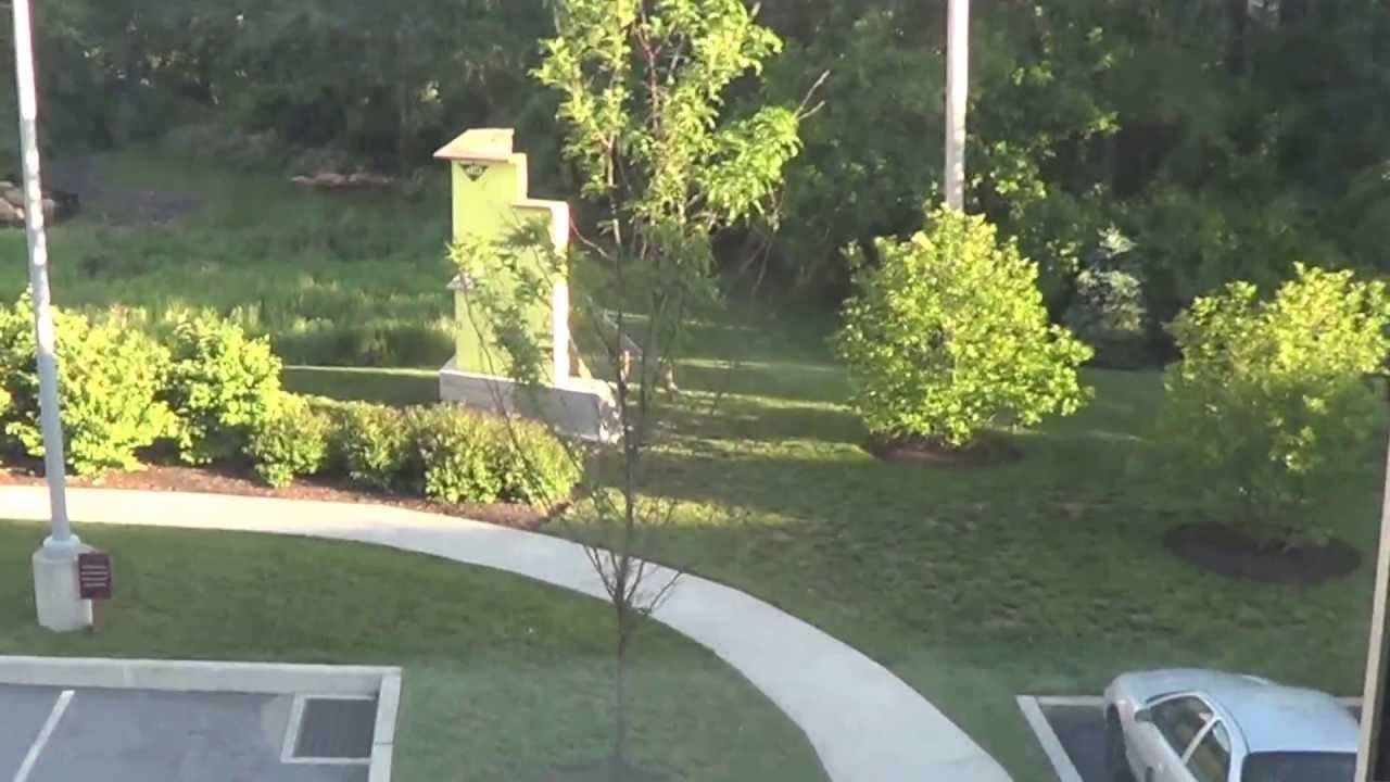 Kone elevator at Riddle m. hospitals Rothman outpatient parking garage ...