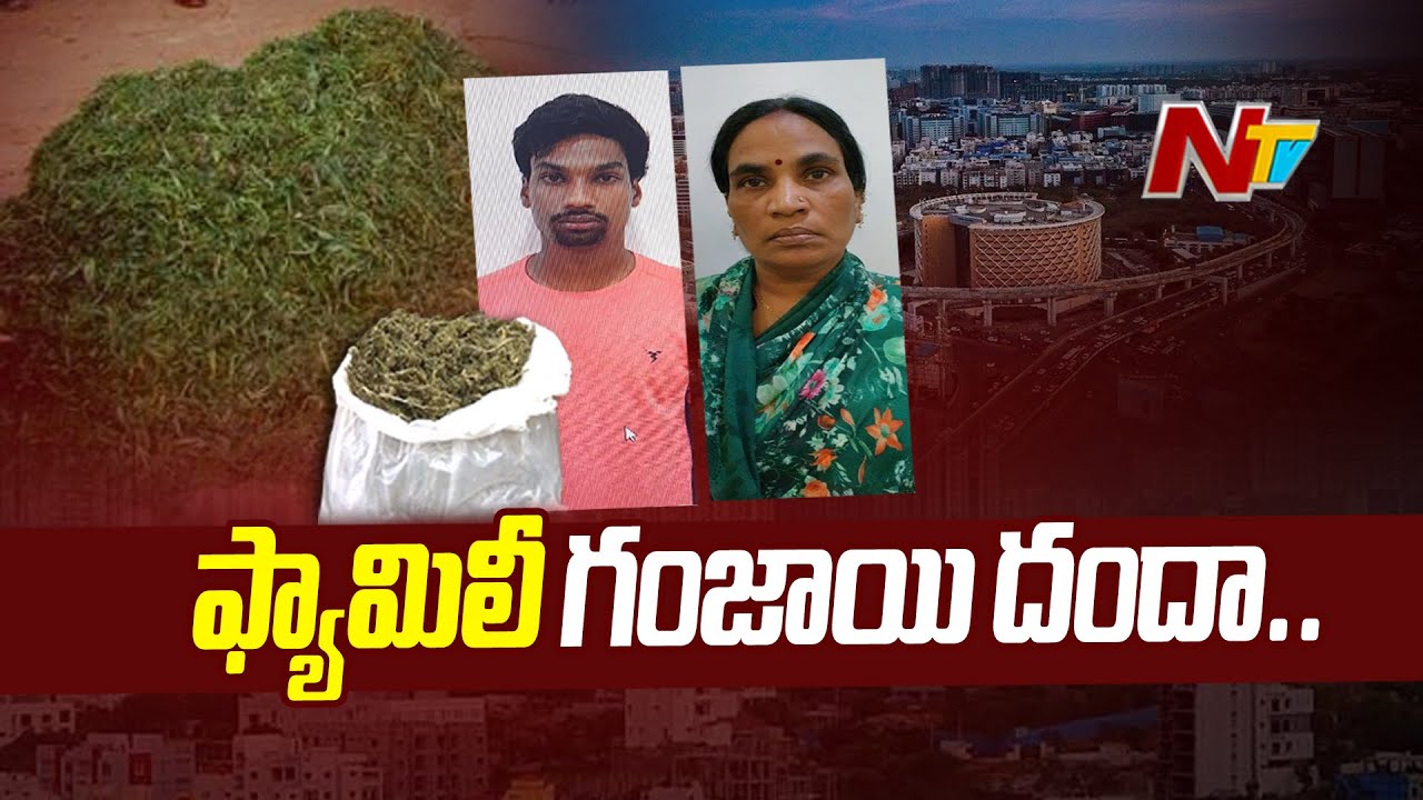 కుటుంబమంతా గంజాయి దందా.. | Ganjai | Be Alert | Ntv - YouTube