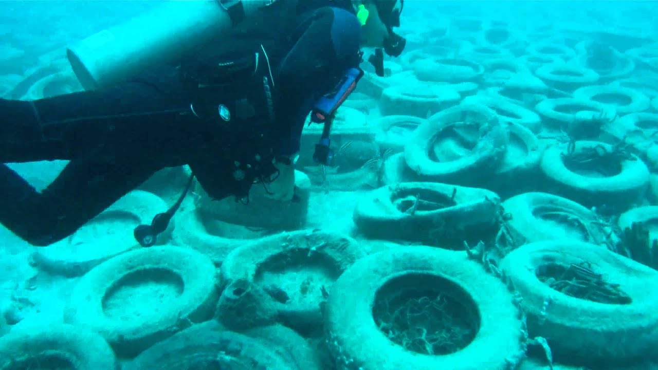 Artificial Reef FAIL - Off the South Florida Coast! - Fishing TV HD ...