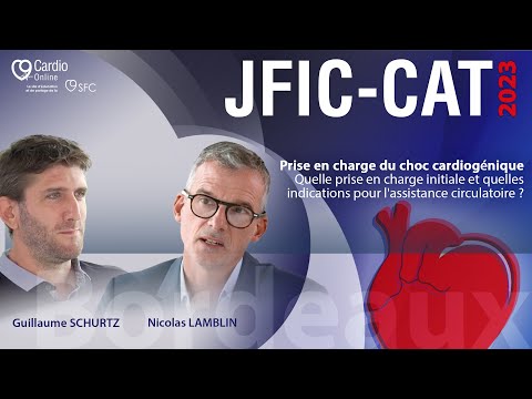 Choc cardiogénique : prise en charge initiale et indications pour l ...