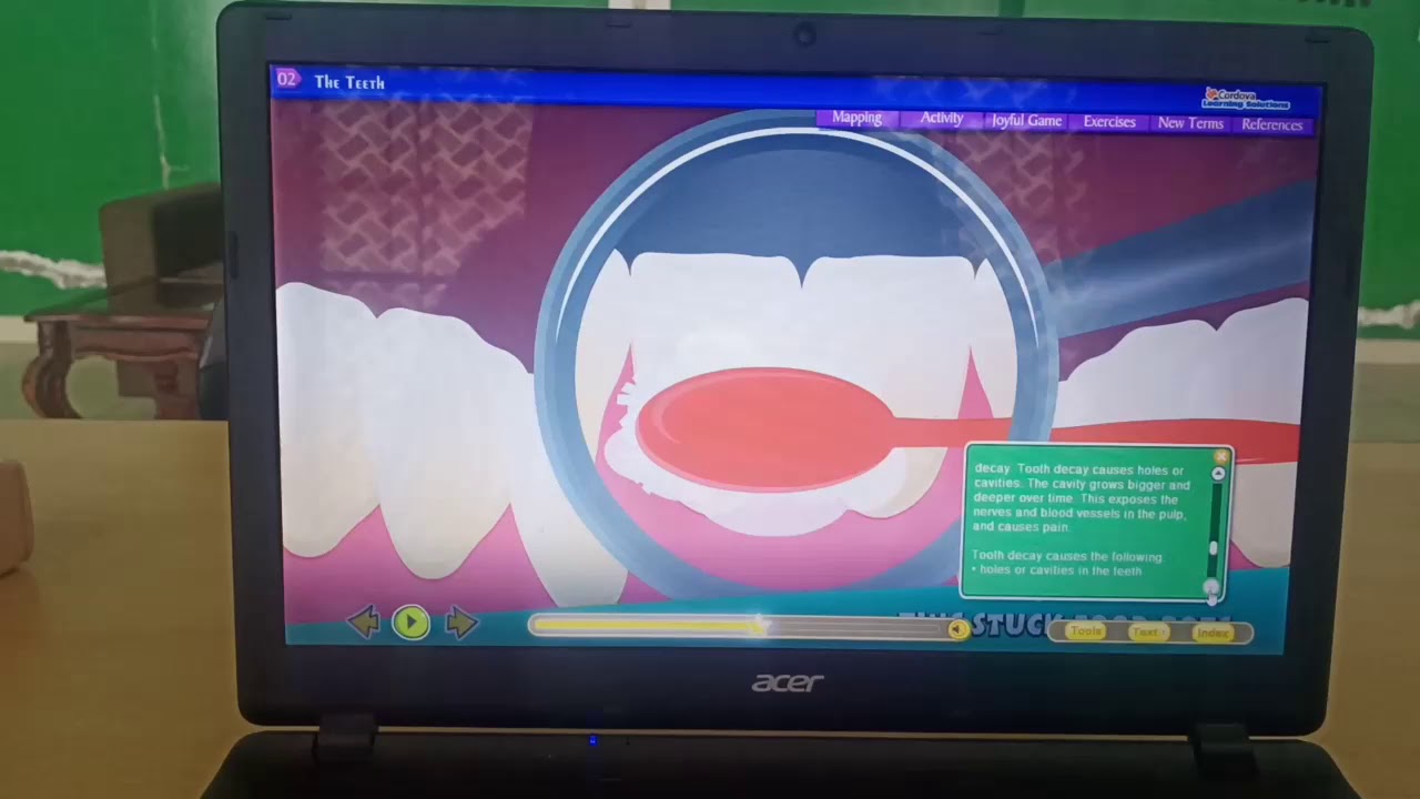 Our Teeth / Science/ grade 4th - YouTube