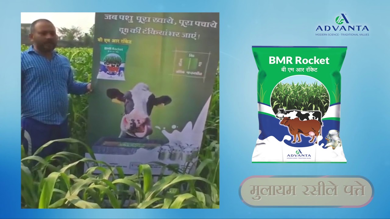 BMR Rocket from Sanjay Kaushik. New Delhi, Inndia. - YouTube