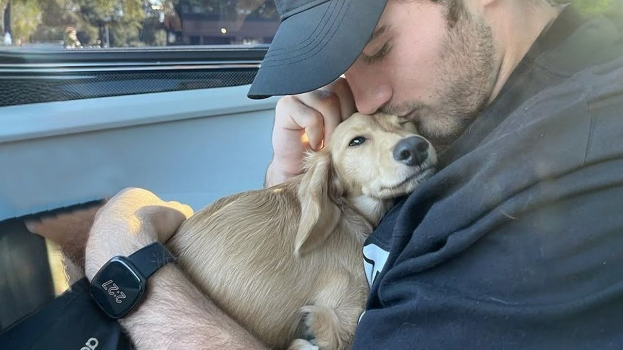 No One Wanted a Dog… But He Became Dad’s Favorite Child 🐶 ️ - YouTube