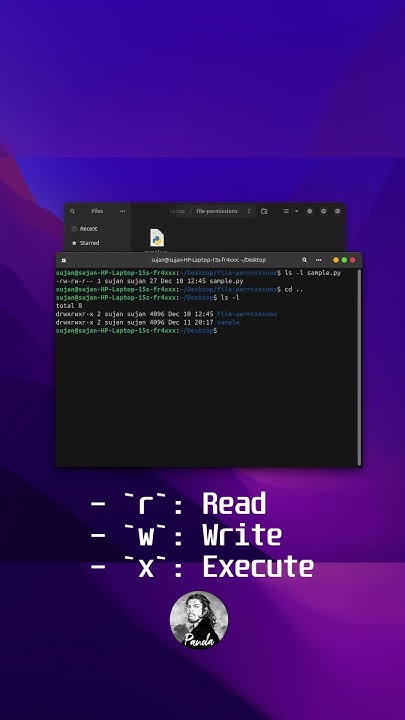 Exploring File Permissions in Linux || day 4//30 Linux challenge || #linux #cmd - YouTube