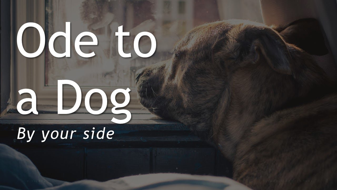 Ode to a Dog/By your side - YouTube