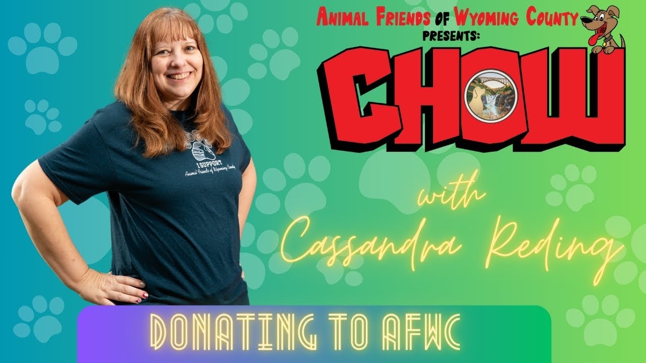 Donating to AFWC - YouTube