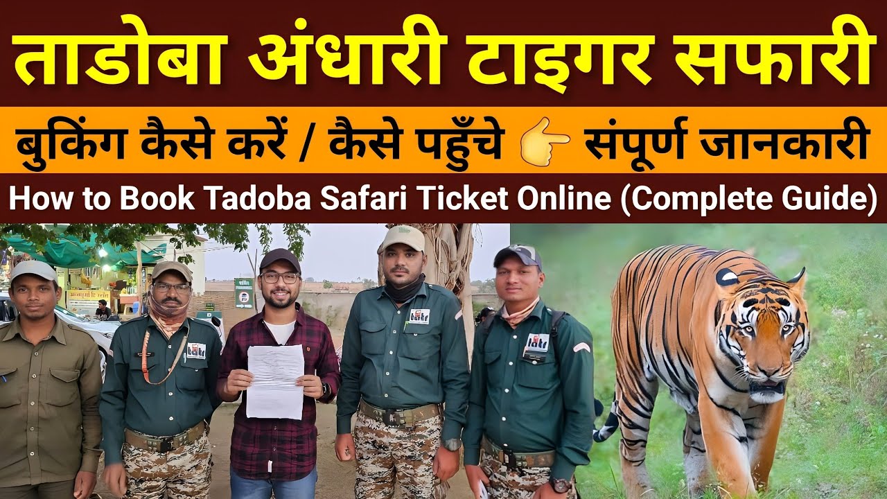 How to book Tadoba Safari Online | Tadoba safari booking kaise kare ...
