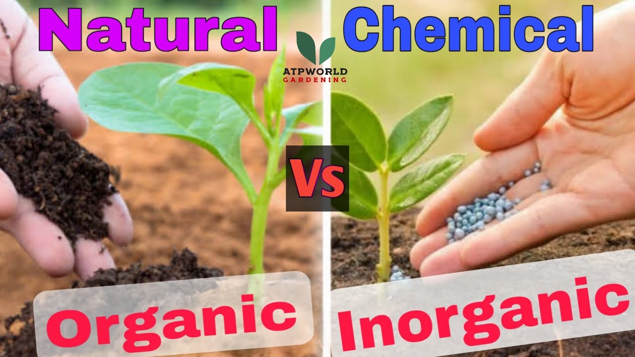 Organic vs Inorganic Fertilizers - Which is The BEST? - YouTube