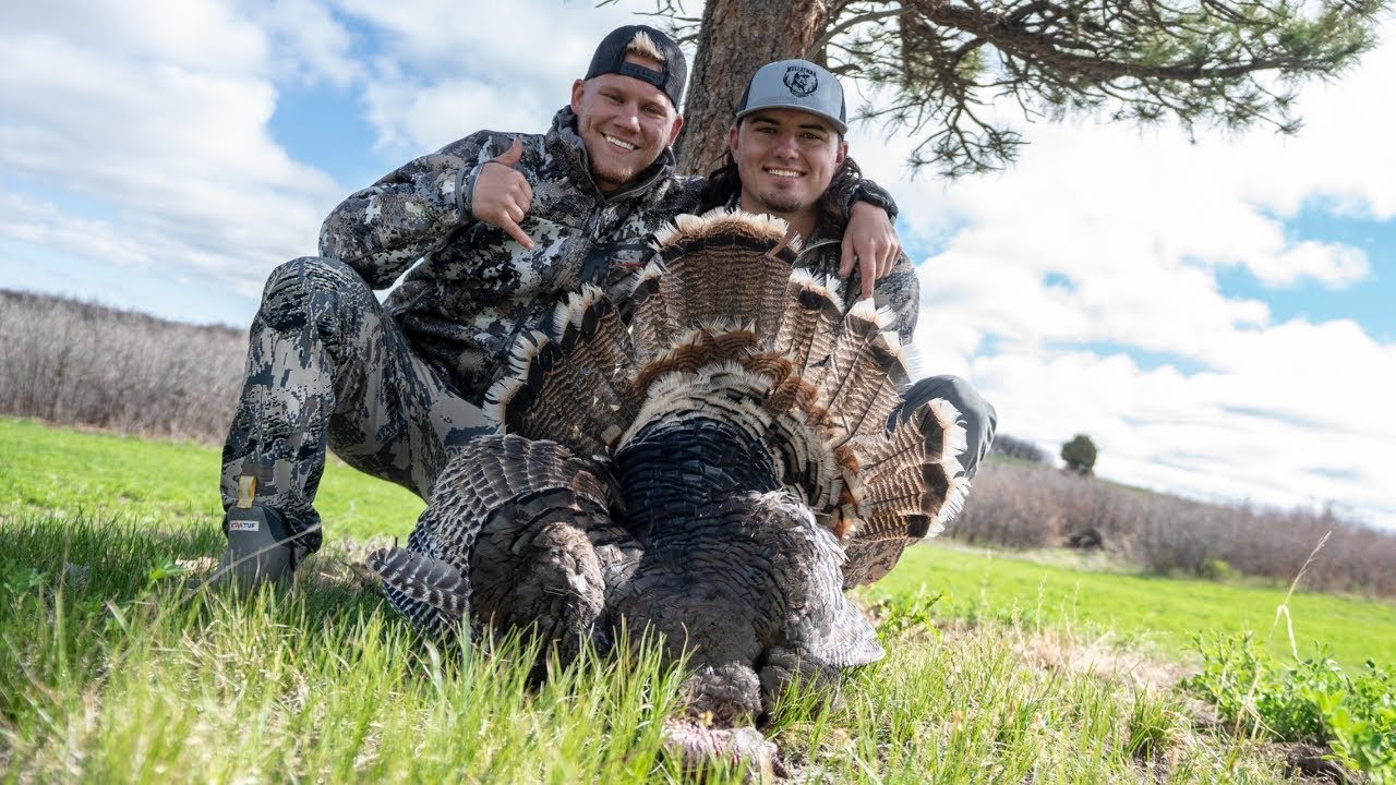 TURKEY Hunting in COLORADO!! {Catch Clean Cook} - YouTube