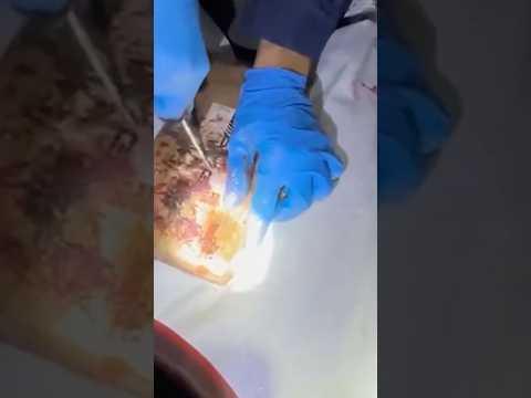 Narkotik haberleri değil, gıda gündemini konuşuyoruz: Yer fıstığı konteynırından kokain çıktı!