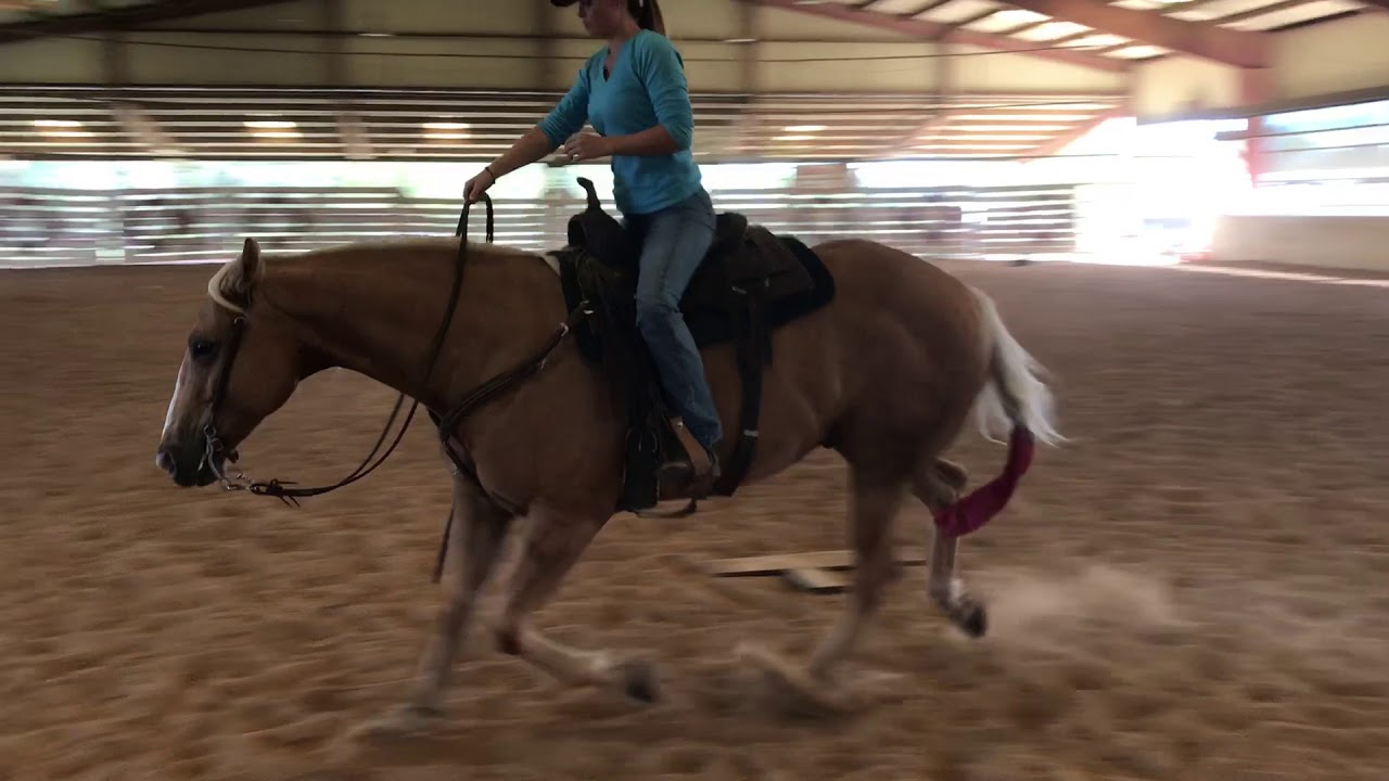 Ranch Riding - YouTube