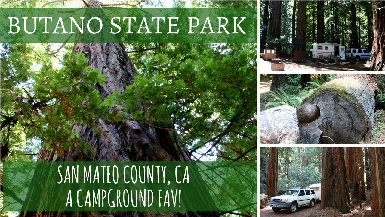 Butano State Park / San Mateo County, CA / A Campground Fav! - YouTube