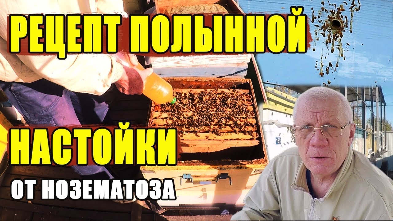 Профилактика нозематоза Болезни пчел в пчеловодстве - YouTube