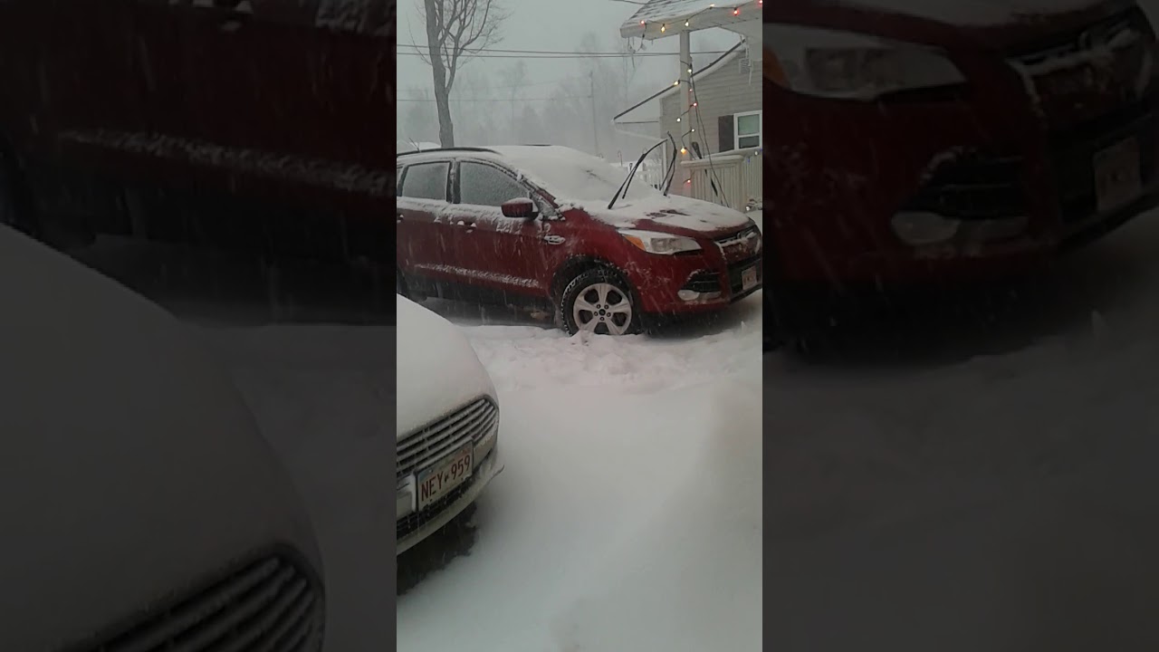 30 Centimeters Of Snow February 27 2020 YouTube 30-centimeters-of-snow-february-27-2020-youtube