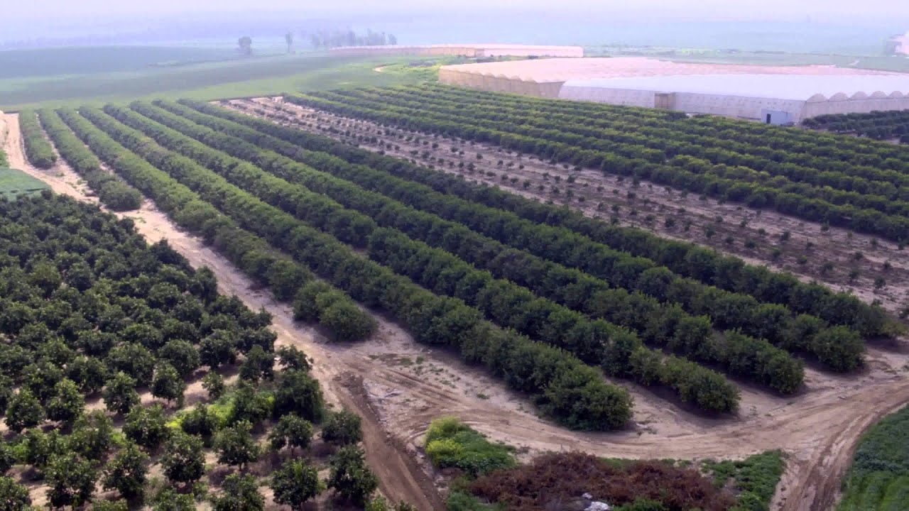 Home Moshav - YouTube